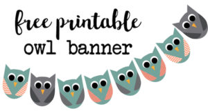 Free Printable Owl Banner {Owl Party} - Paper Trail Design