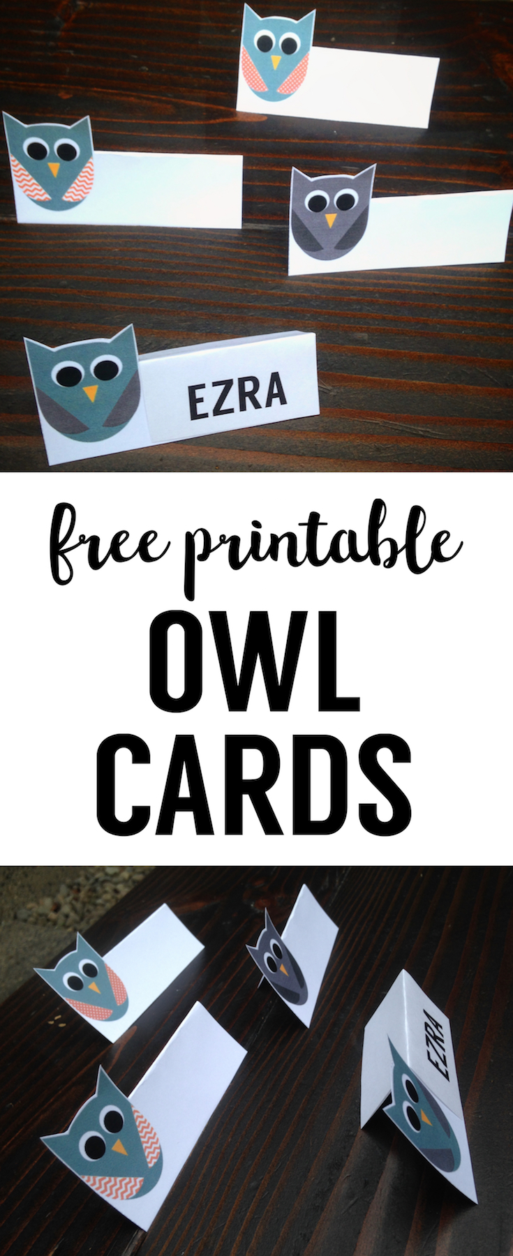 Free Printable Owl Tags {Owl Party} - Paper Trail Design