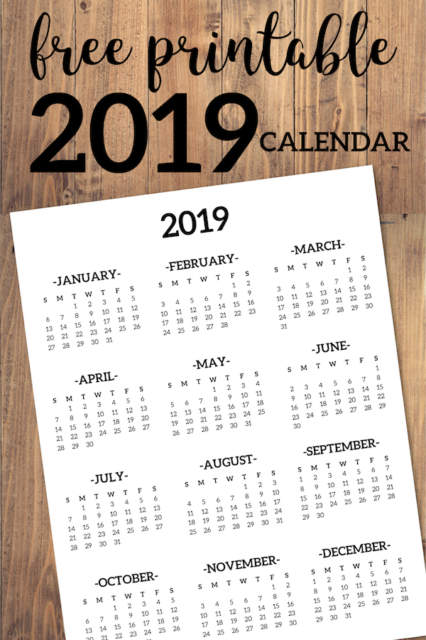 Calendar 2019 Printable One Page - Paper Trail Design