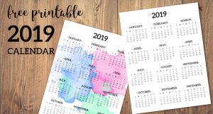Calendar 2019 Printable One Page - Paper Trail Design