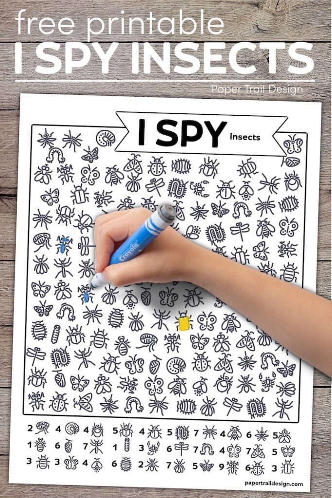 Free Printable I Spy Insects Activity - Paper Trail Design