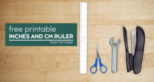 Free Printable Ruler {inches and cm} - Paper Trail Design
