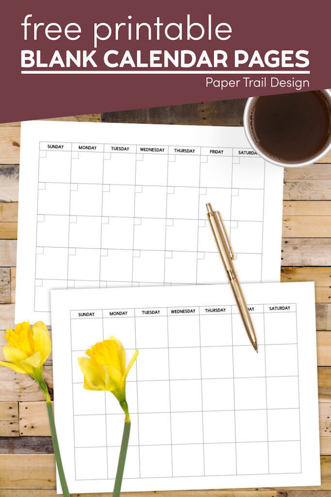 Free Printable Blank Calendar Template - Paper Trail Design