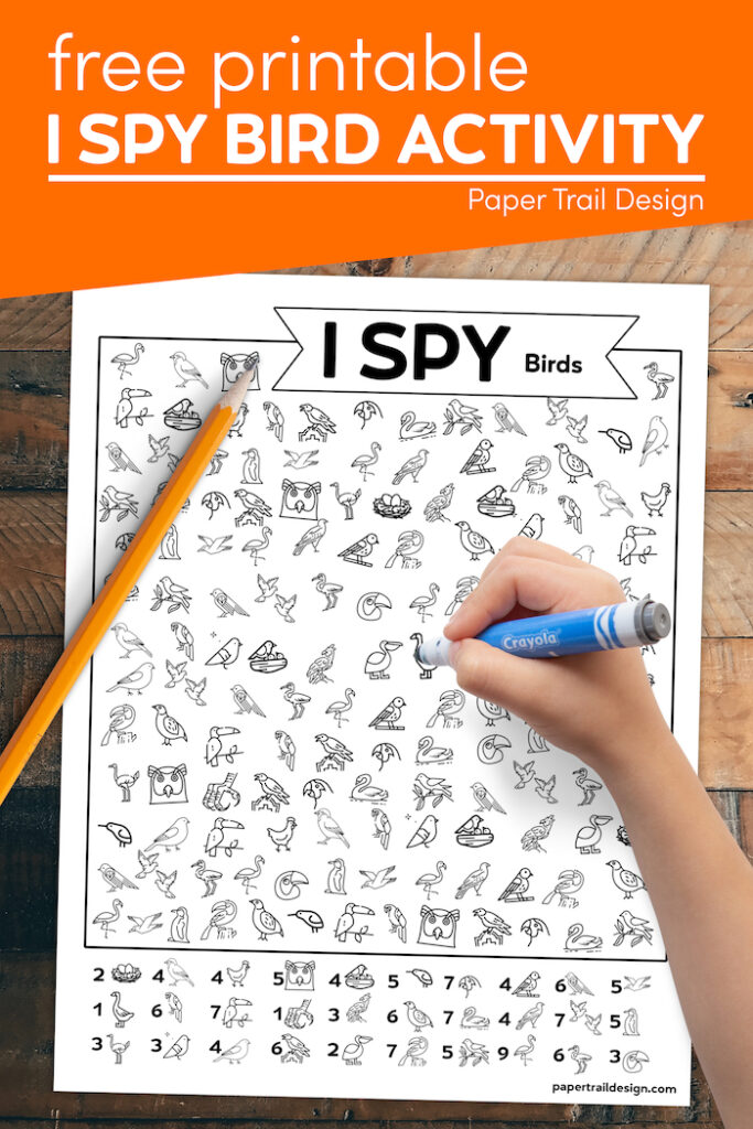 Free Printable I Spy Birds Activity - Paper Trail Design