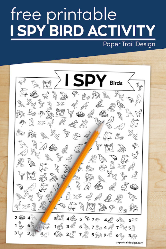 Free Printable I Spy Birds Activity - Paper Trail Design