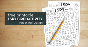 Free Printable I Spy Birds Activity - Paper Trail Design
