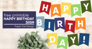 Happy Birthday Sign Printable - Paper Trail Design