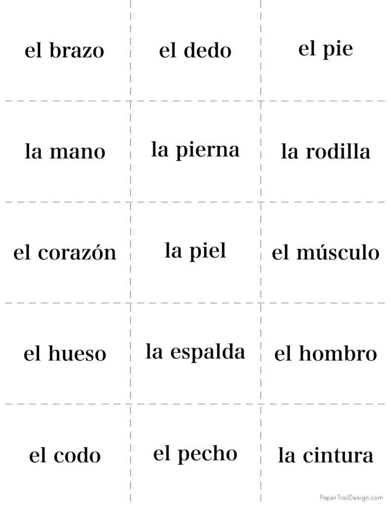 Spanish Flashcards - Paper Trail Design