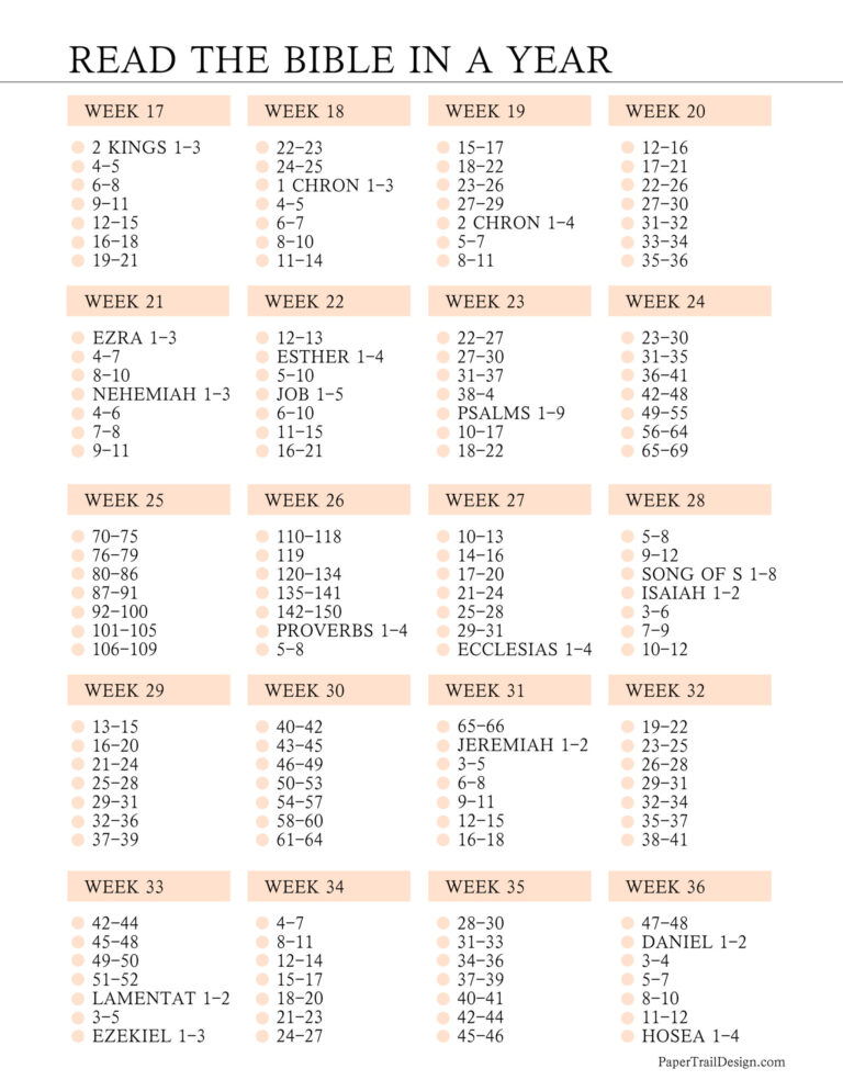 Daily Bible Reading Plan Printable - Paper Trail Design