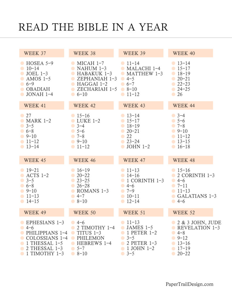 Daily Bible Reading Plan Printable - Paper Trail Design