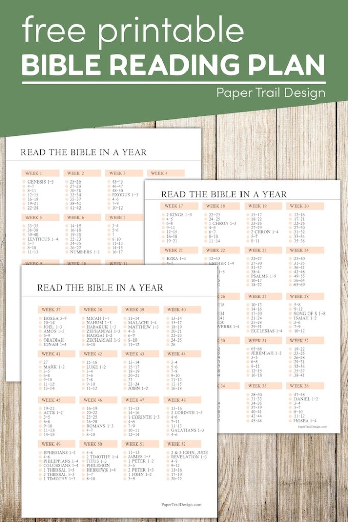 Daily Bible Reading Plan Printable - Paper Trail Design